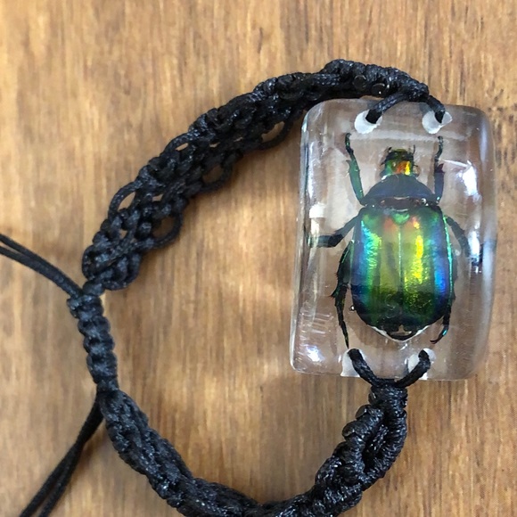 Jewelry | Bug Beetle Real Bracelet Creepy Resin Adjustable | Poshmark